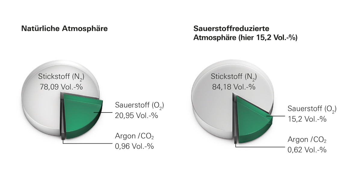 Theorie und Praxis zum Brandschutz durch Schutzatmosphären - BS ...